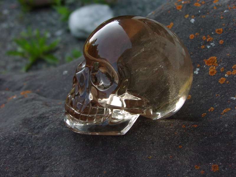 Crystal skull citrine #1134 - Gemstone shop